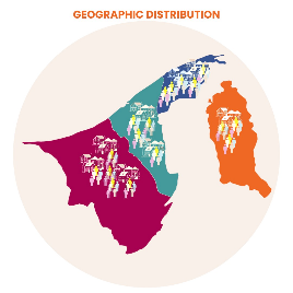 Statistical Publications | DEPS Website